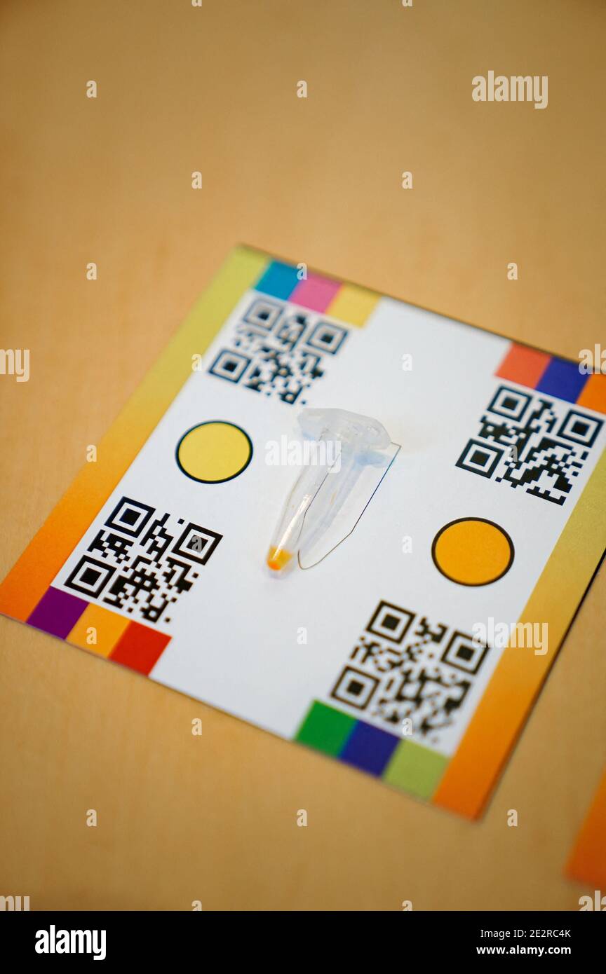Example of a positive (yellow) and negative (orange) result of an ...
