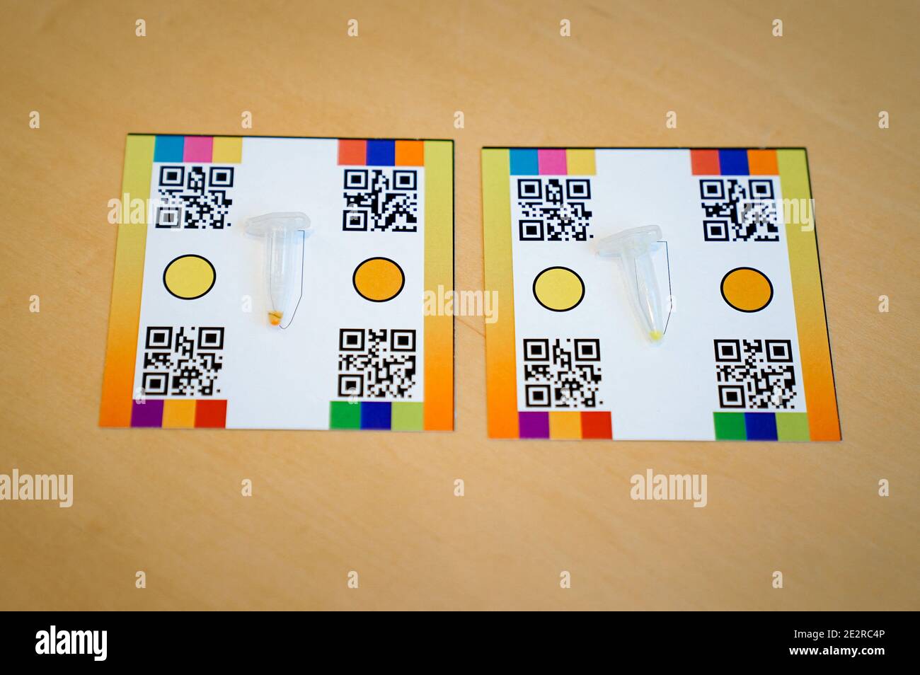 Example of a positive (yellow) and negative (orange) result of an ...