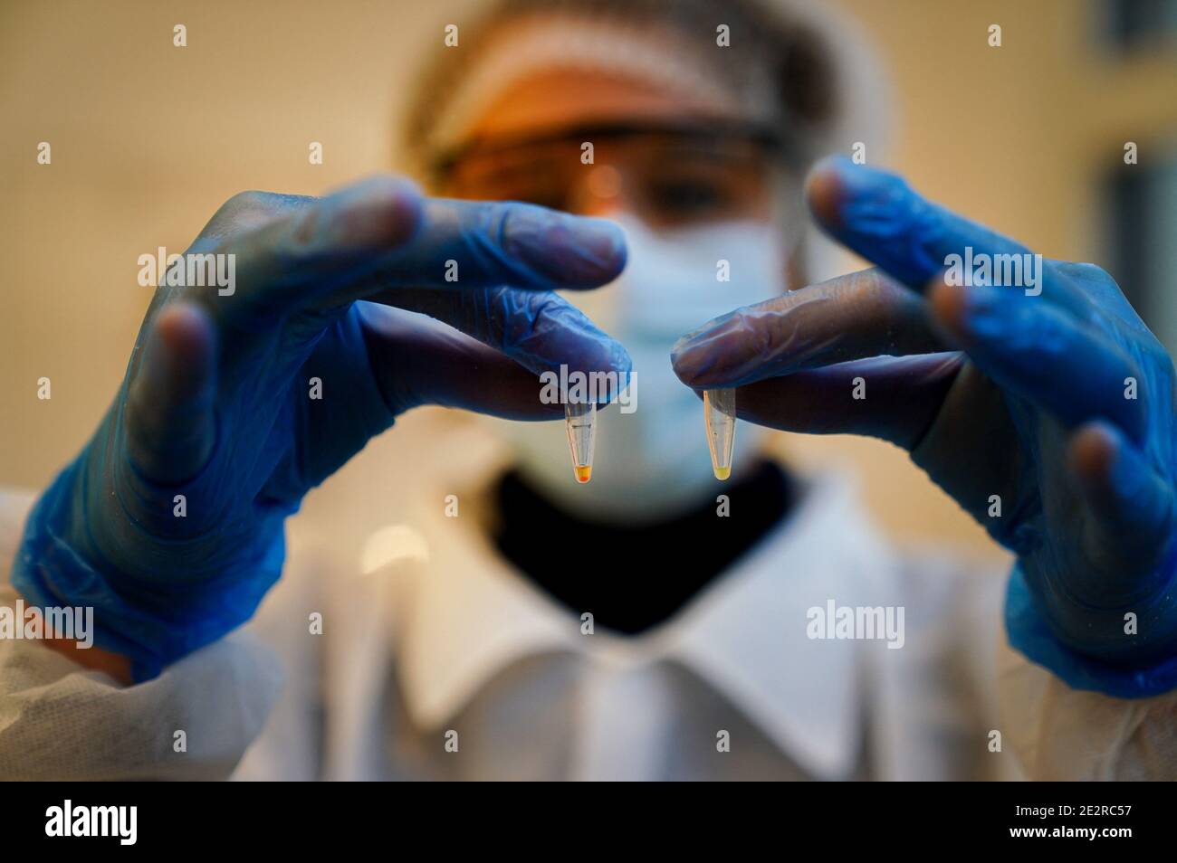 Example of a positive (yellow) and negative (orange) result of an ...