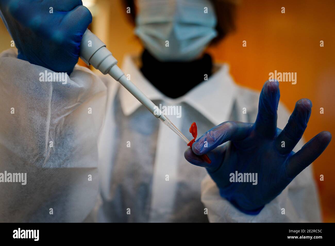 Laborantine performing an EasyCov rapid saliva test for Covid-19, in ...