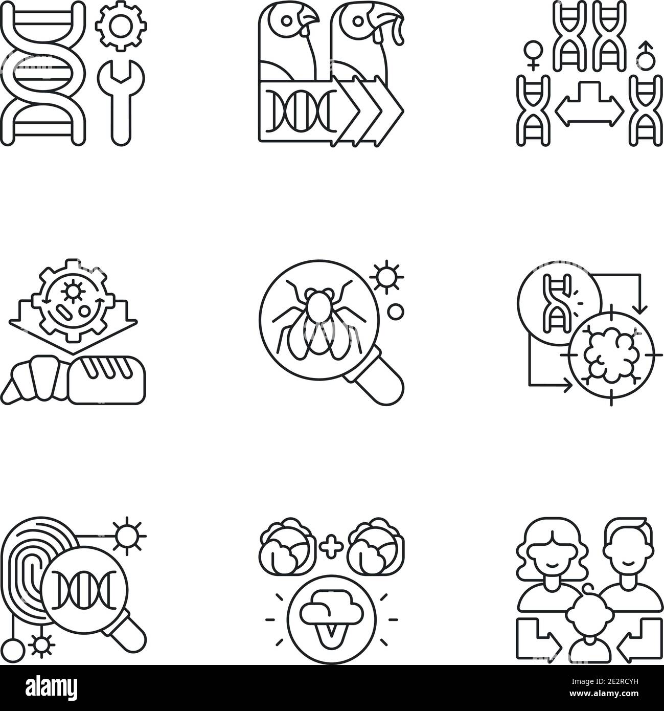 Genetics linear icons set Stock Vector Image & Art - Alamy