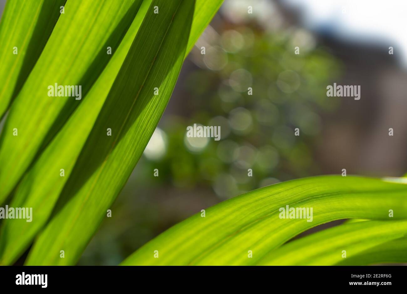 Minimal framing hi-res stock photography and images - Alamy