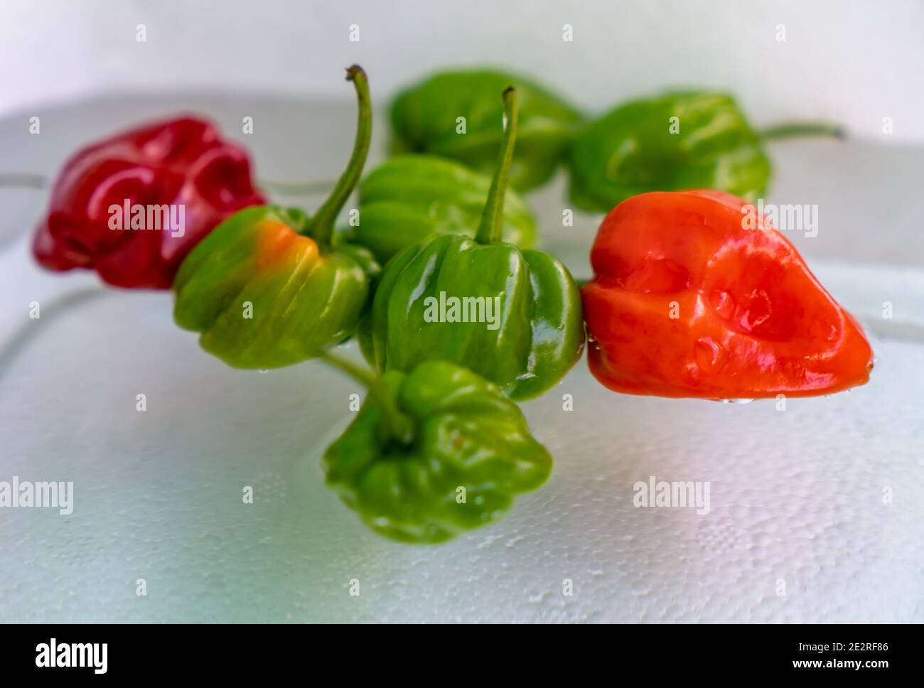 Group of red and green chili peppers floating on water Stock Photo - Alamy