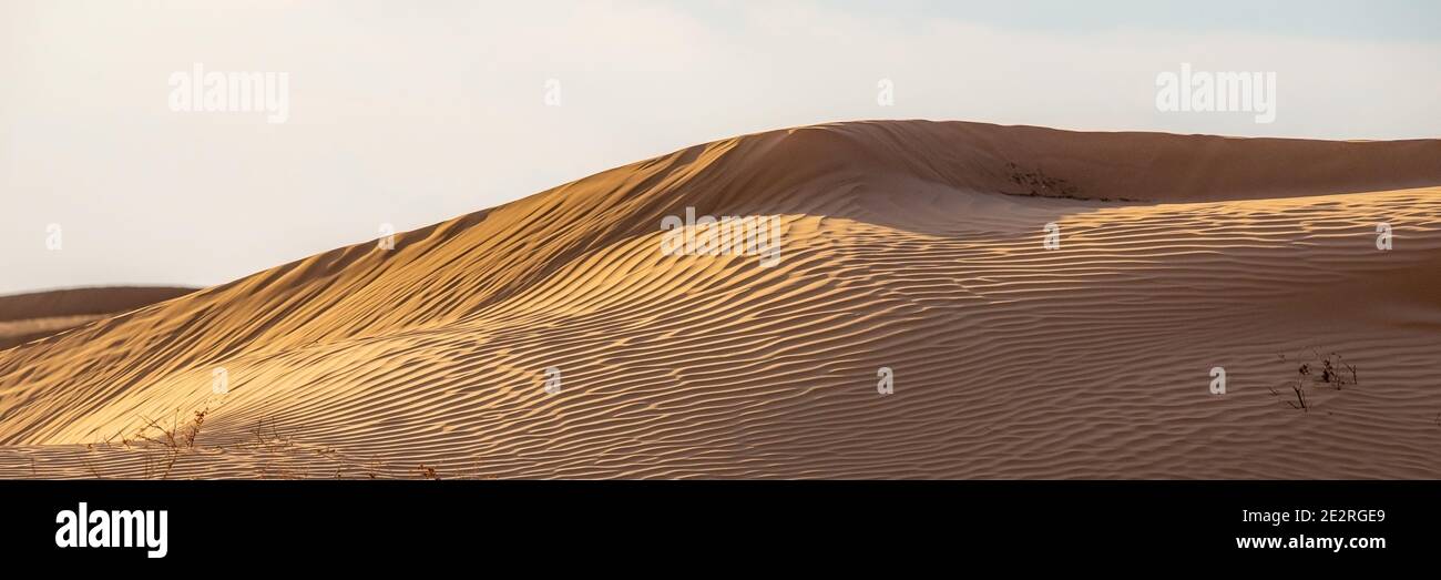Huge dunes of the desert. Beautiful structures of sandy barkhan or sand ...