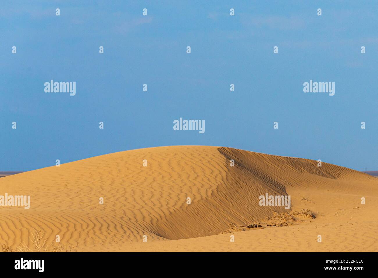Huge dunes of the desert. Beautiful structures of sandy barkhan or sand ...