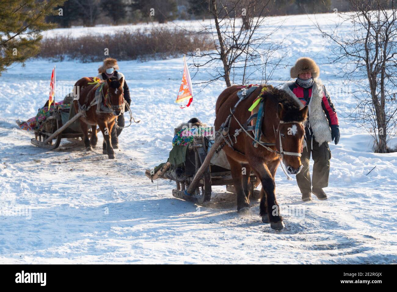 (210115) -- MOHE, Jan. 15, 2021 (Xinhua) -- Tourists go sleighing in ...