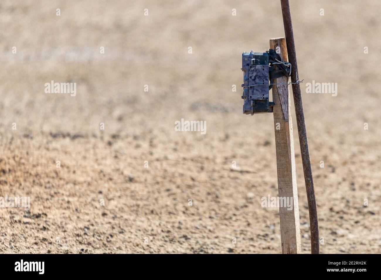Camera trap on stick. Trail camera for taking a picture of wildlife ...