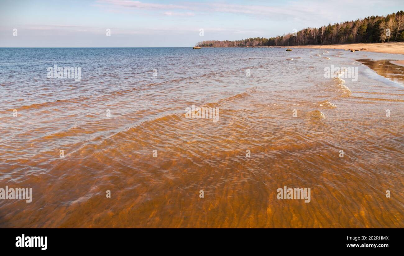 Baltic sea coast. Natural landscape with shallow shore water Stock ...