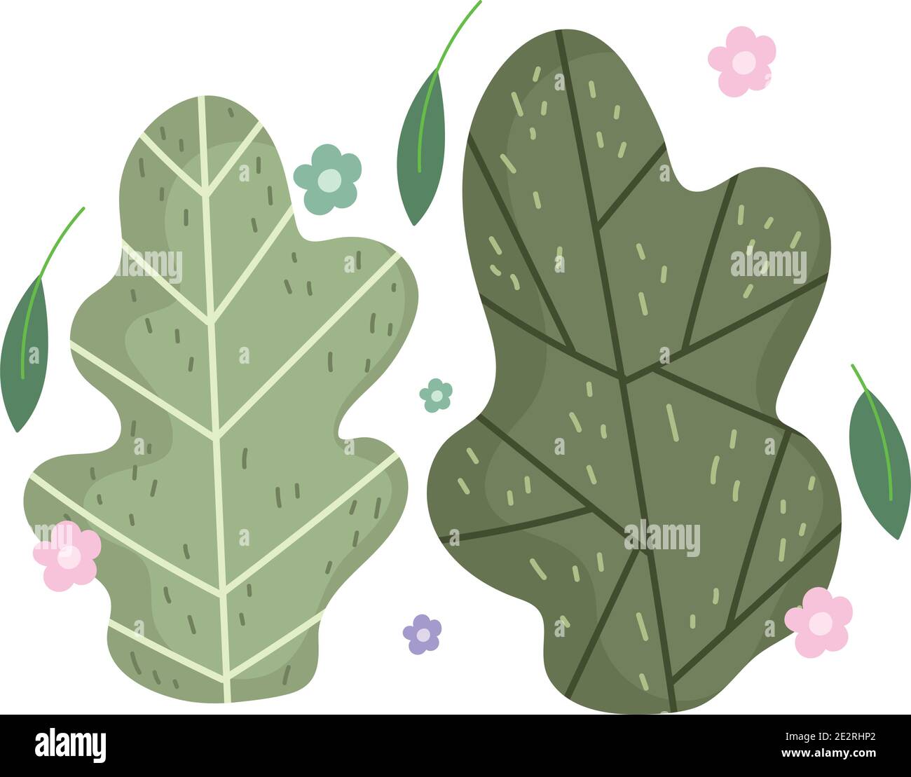 cartoon leaves foliage vegetation plants nature vector illustration ...