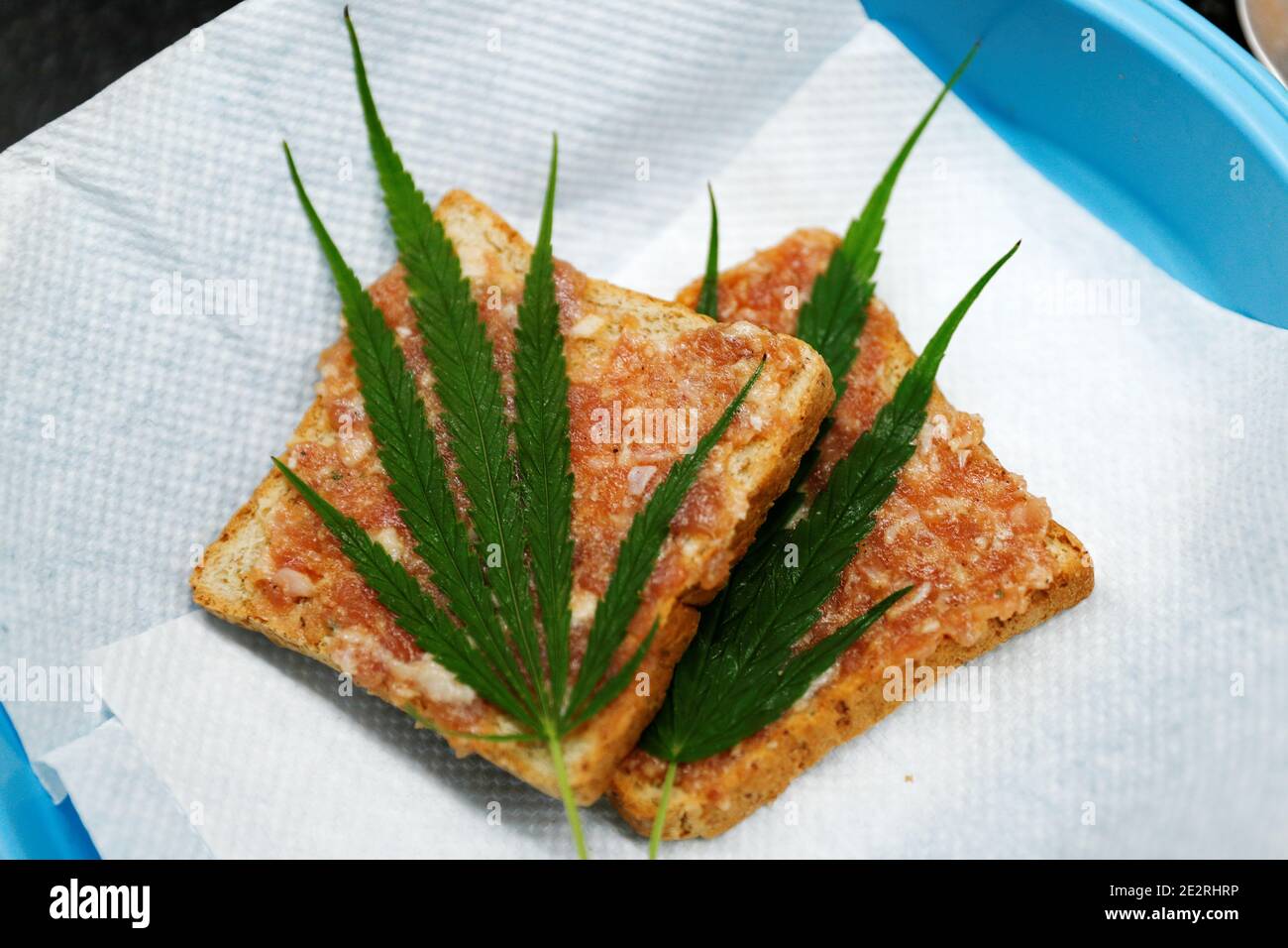 Marijuana plant roots hi-res stock photography and images - Alamy