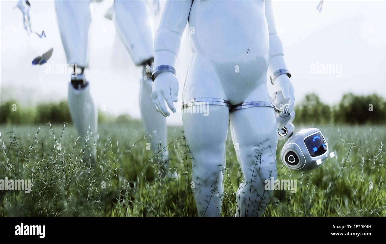 mother robot with her baby robot in the meadow on the background of a ...