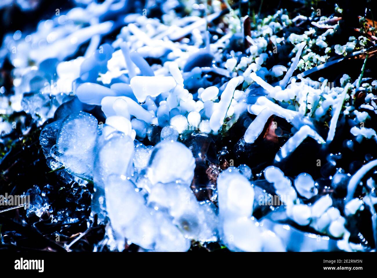 Decorative layer made of transparent glass bricks Stock Photo - Alamy