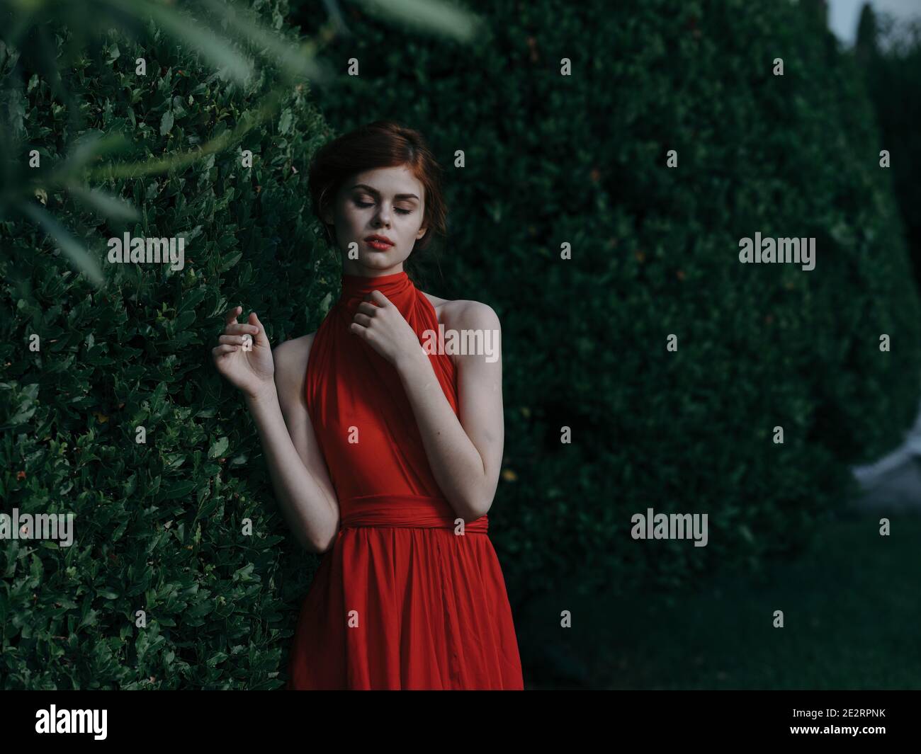 Beautiful woman woman in red dress outdoors near bush luxury charm ...