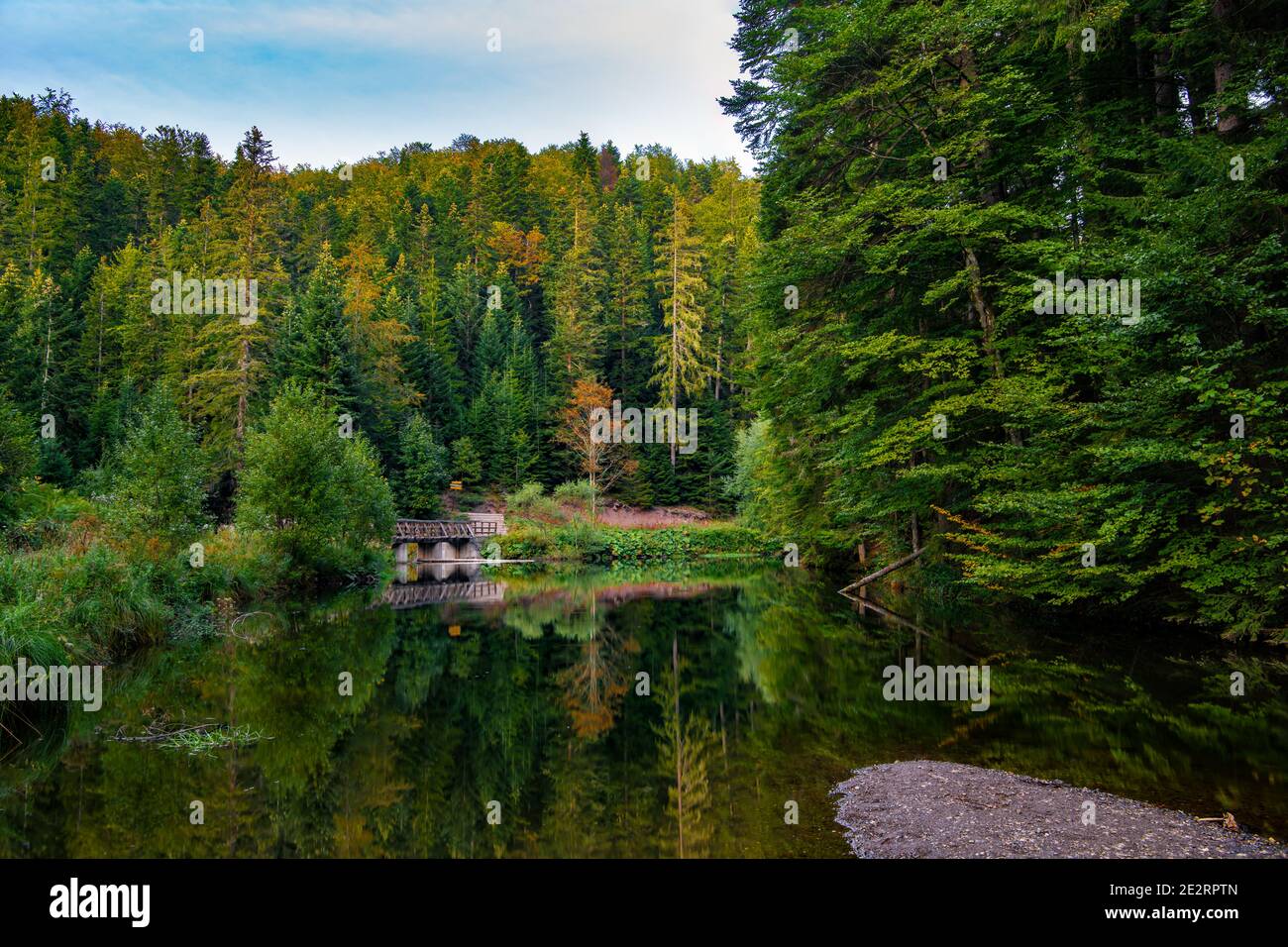 Lake Jarevac a beautiful place surrounded by forest and small dam, near ...