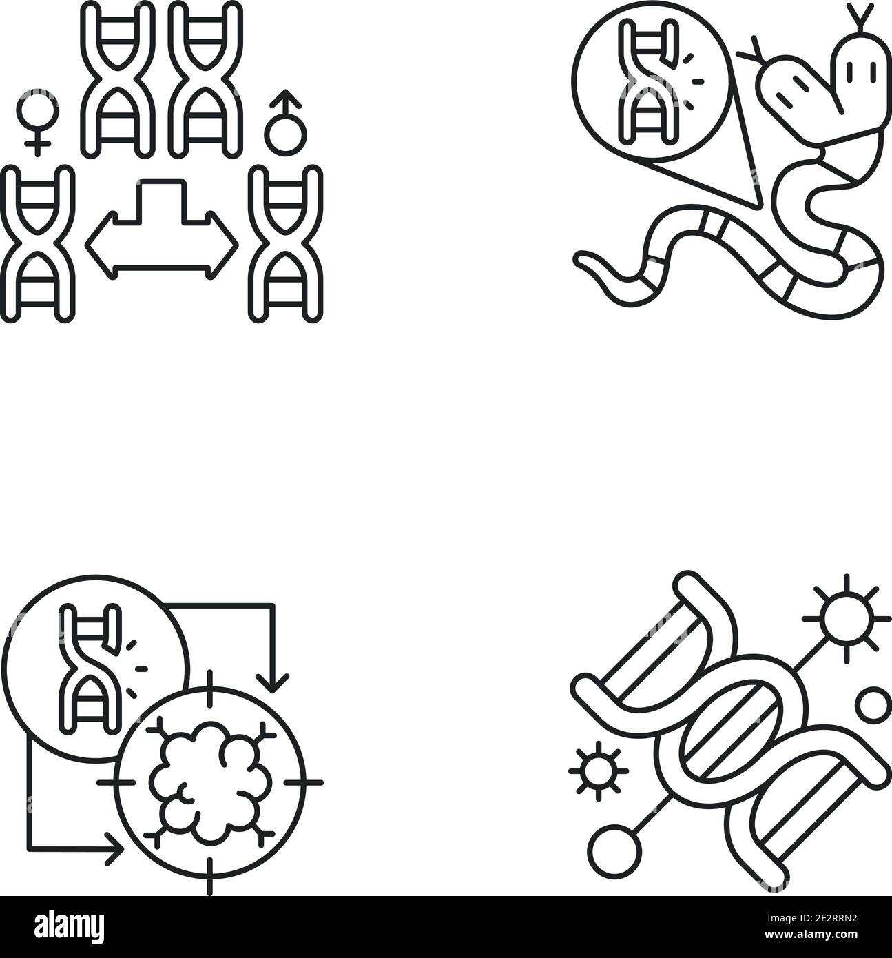 Mutation dna Black and White Stock Photos & Images - Alamy