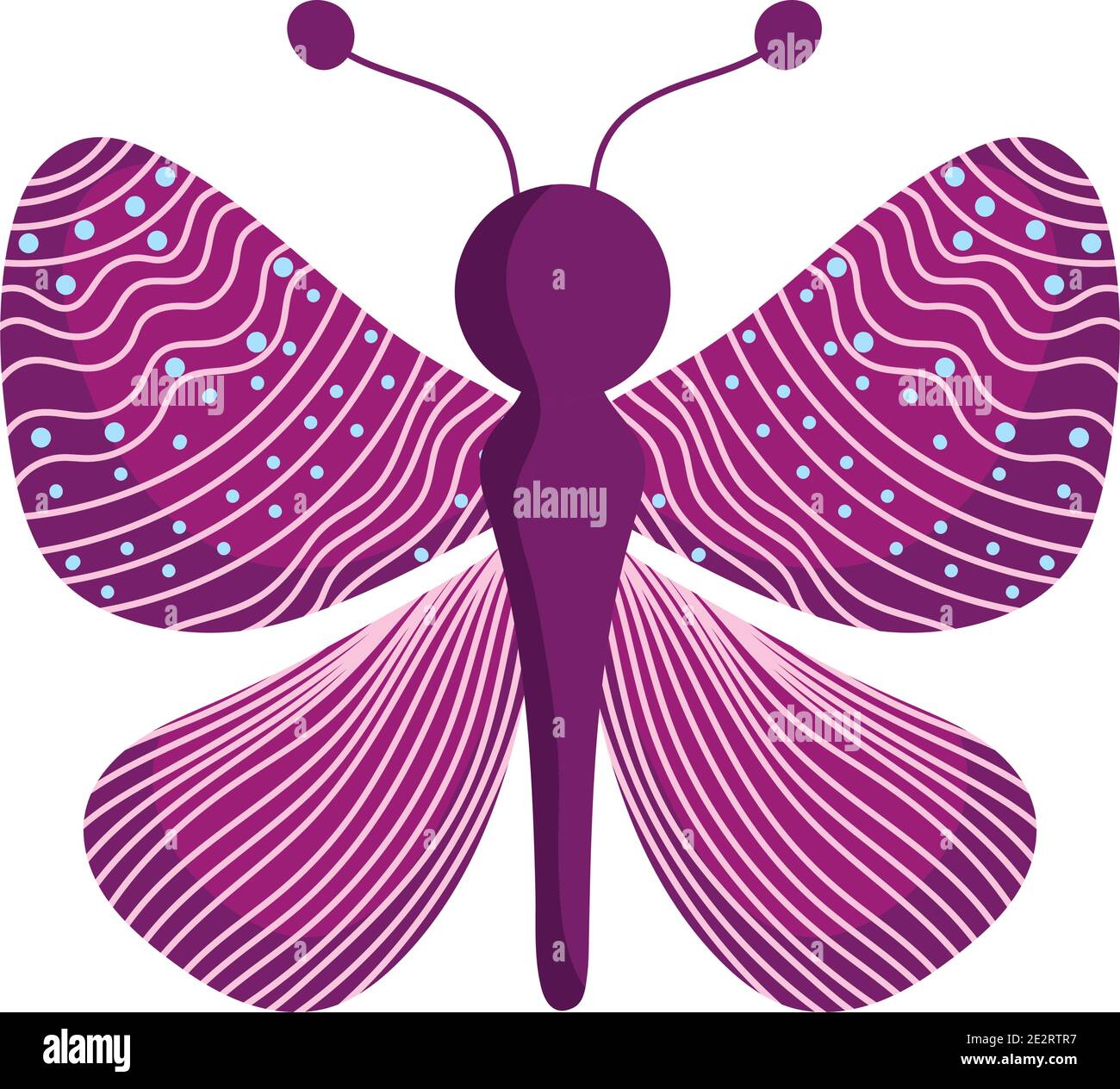 butterfly insect animal, dotted and lined wings, decorative wings on ...