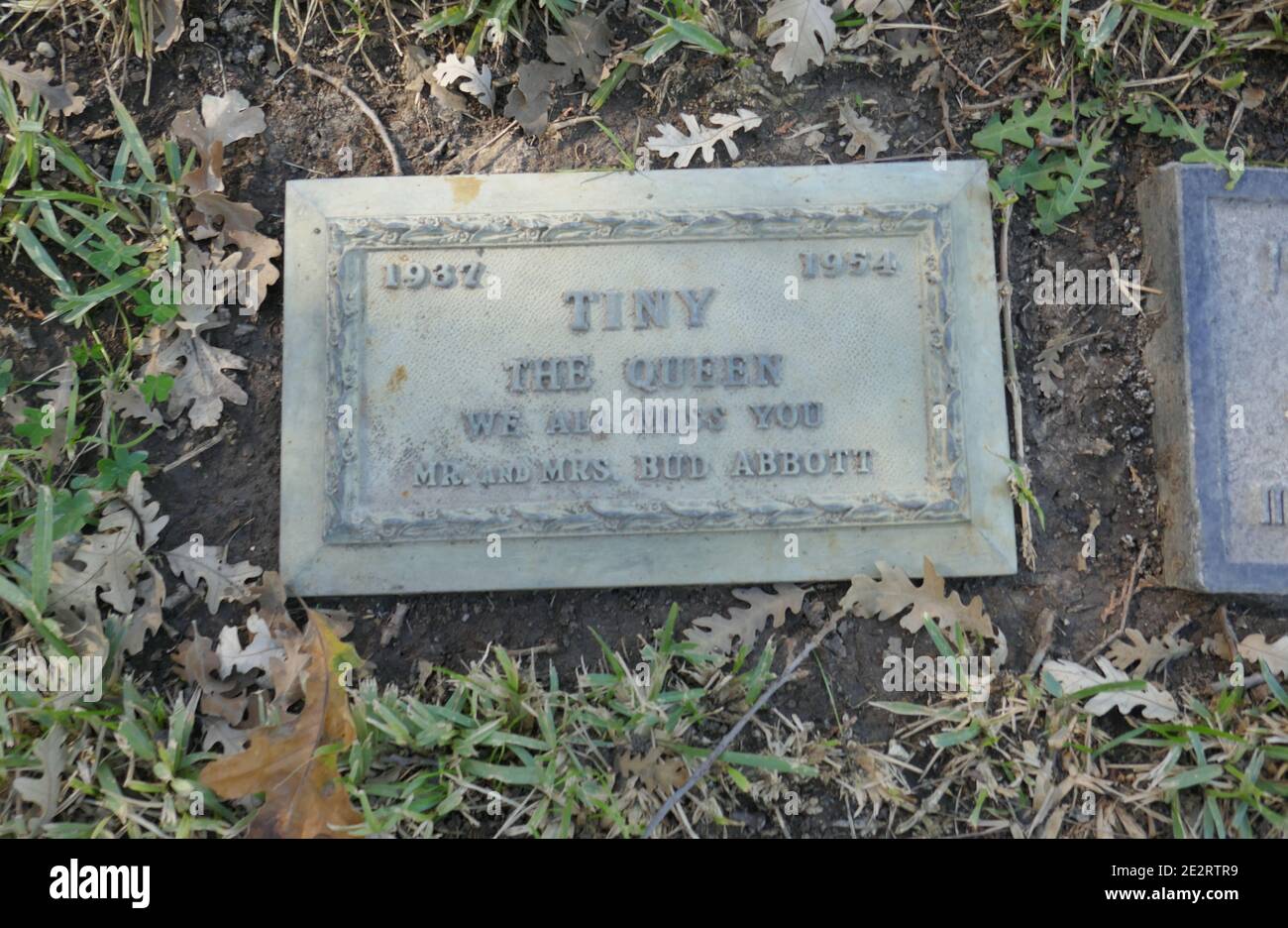 Calabasas, California, USA 14th January 2021 A general view of atmosphere of actor Bud Abbott's ...