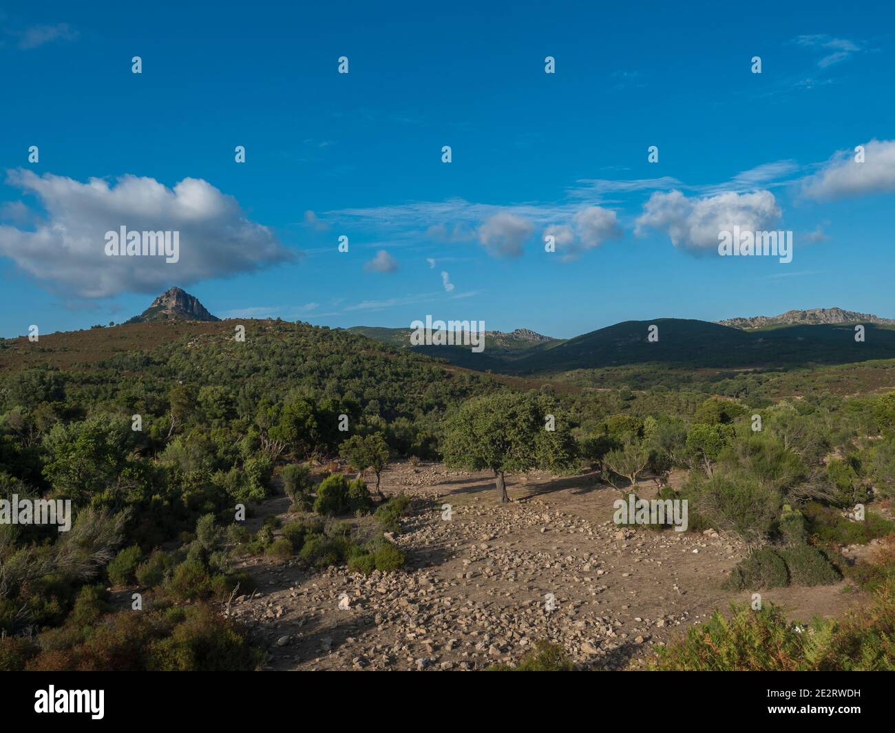 Oseli hi-res stock photography and images - Alamy