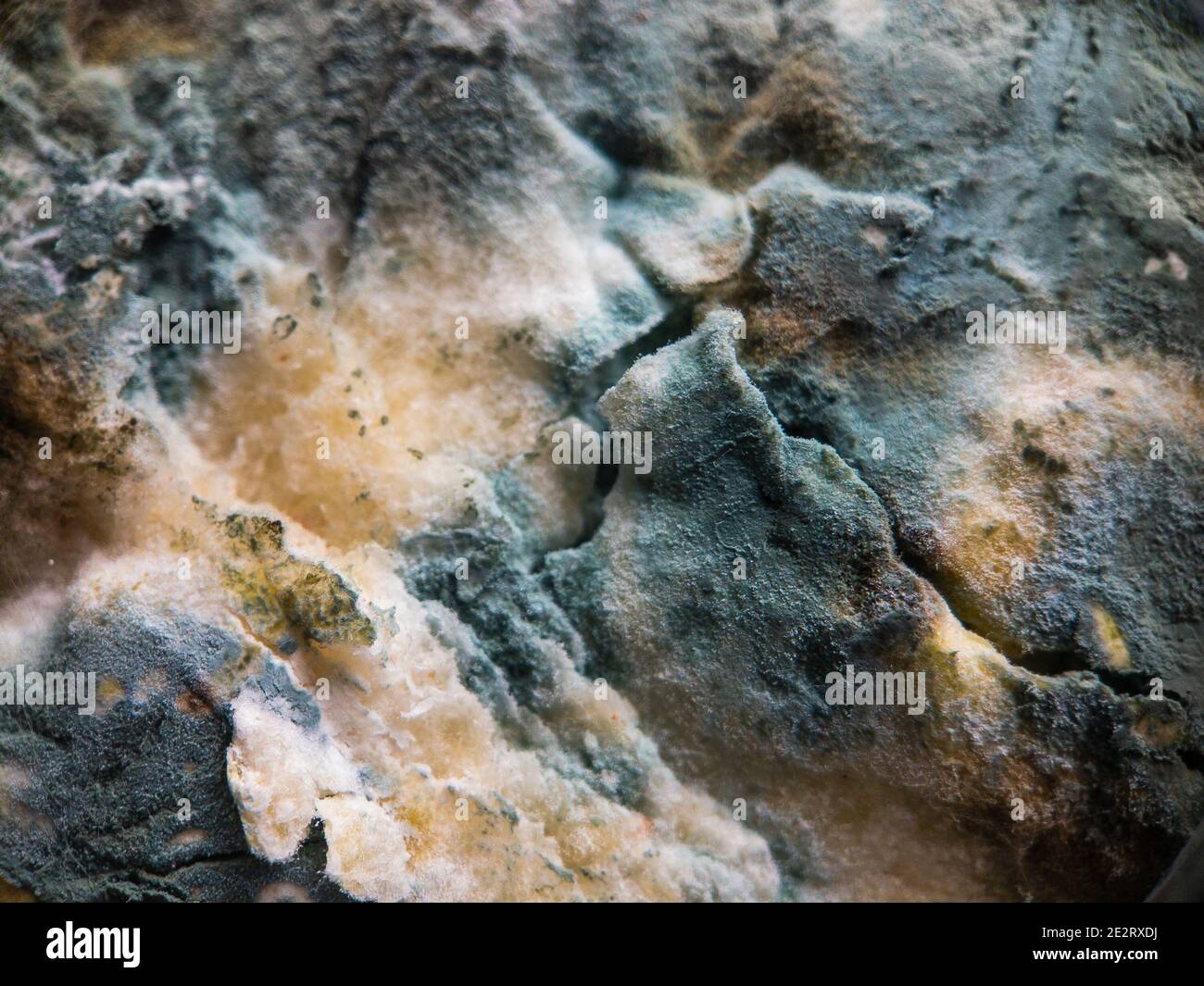 Rough moldy surface with cracks Stock Photo - Alamy