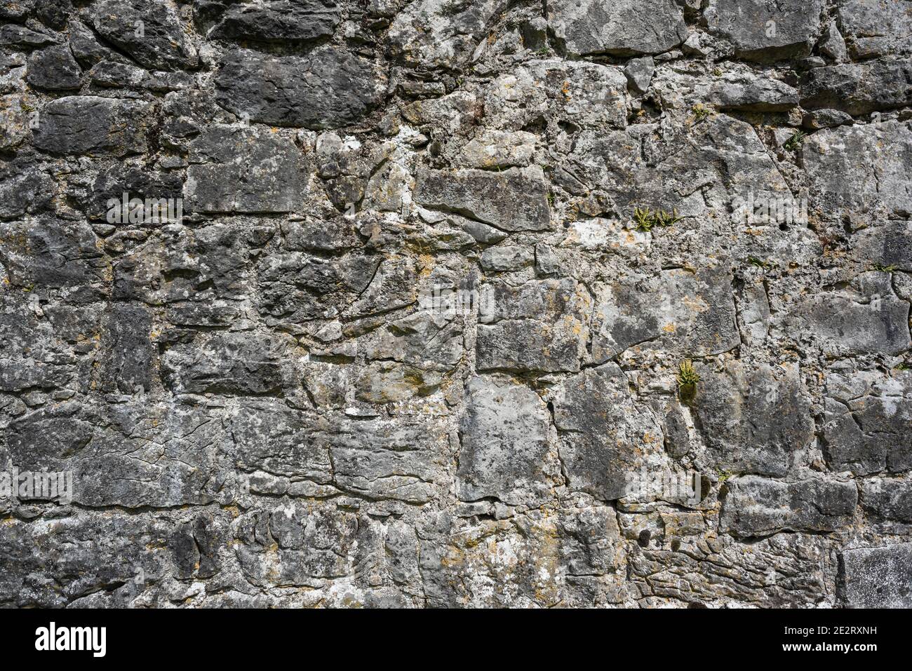 A stone wall of a historic building constucted from Carboniferous ...