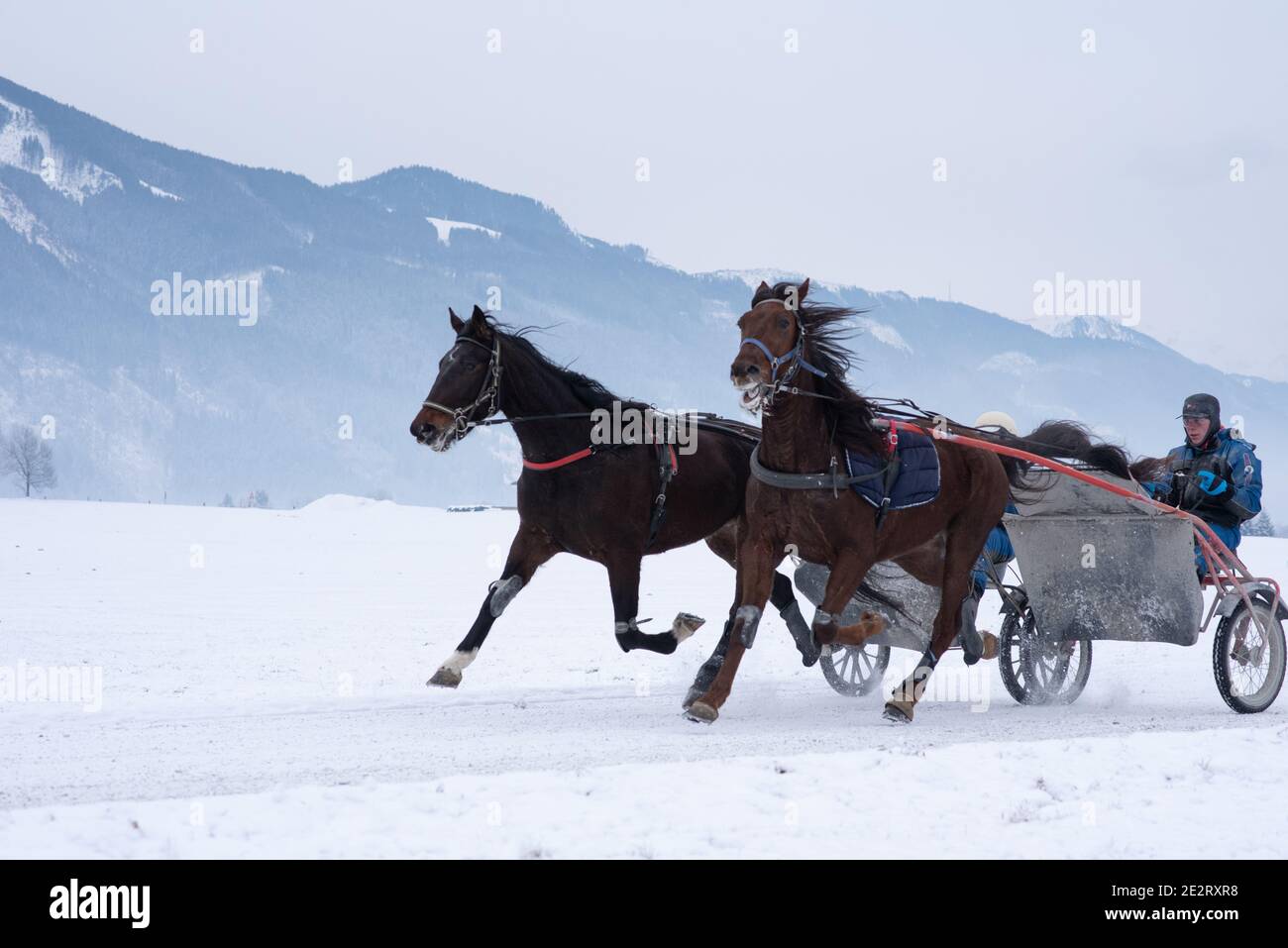 Winter horse training hi-res stock photography and images - Alamy