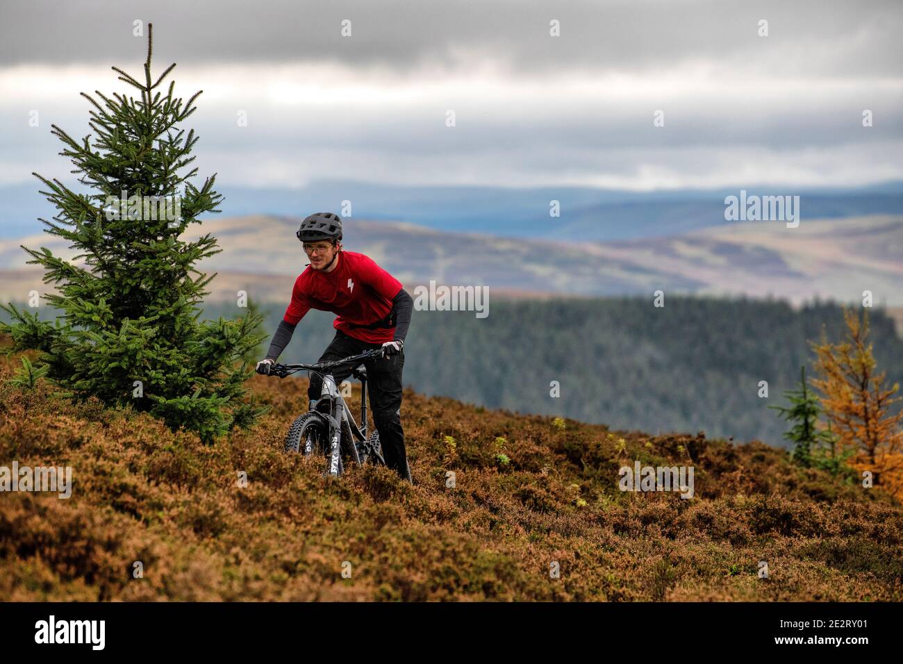 Innerleithen Biking High Resolution Stock Photography and Images - Alamy