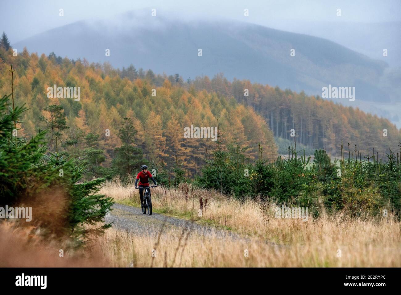 E mountain biking scotland hi-res stock photography and images - Alamy