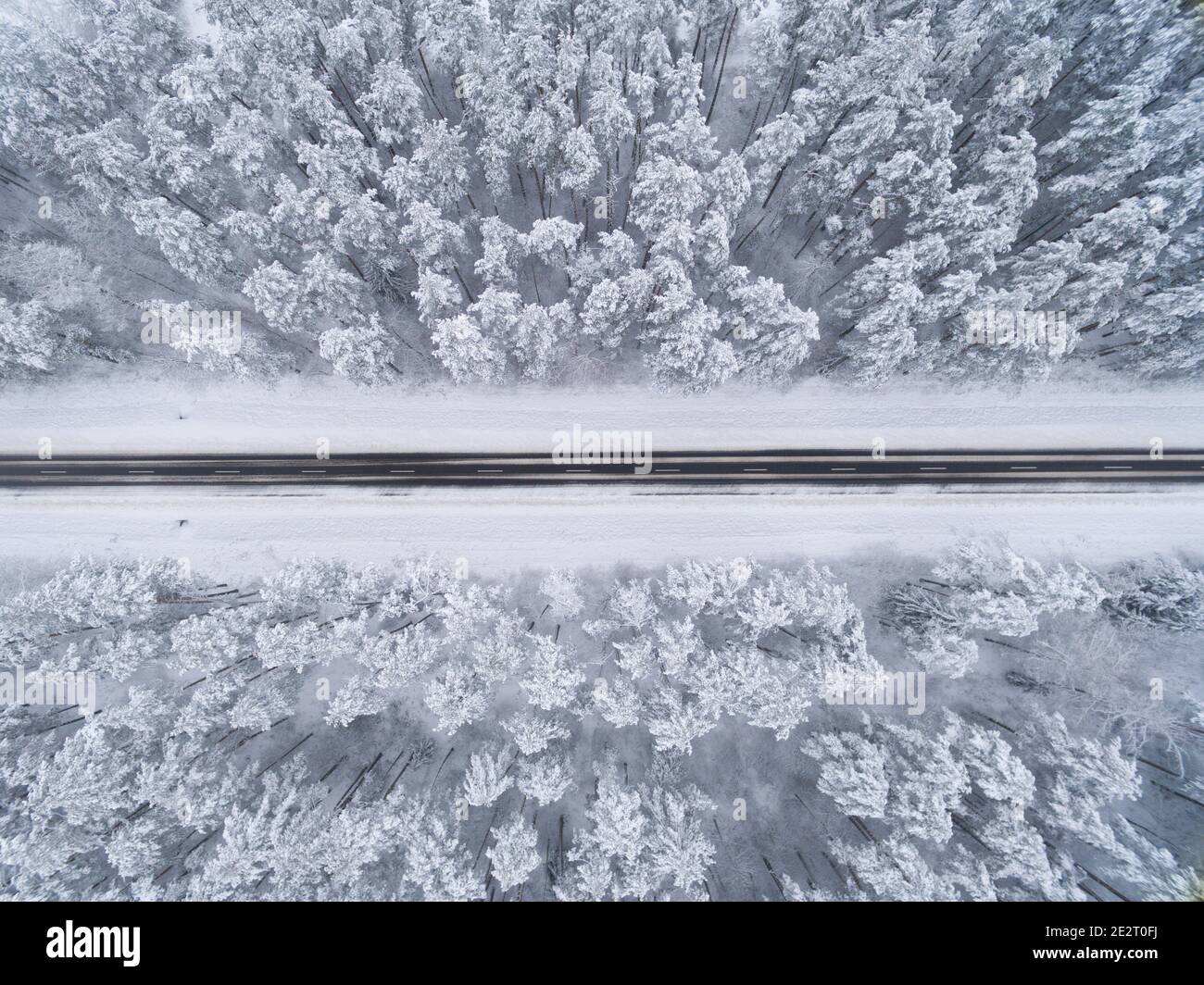 Winter forest from birds eye view hi-res stock photography and images ...