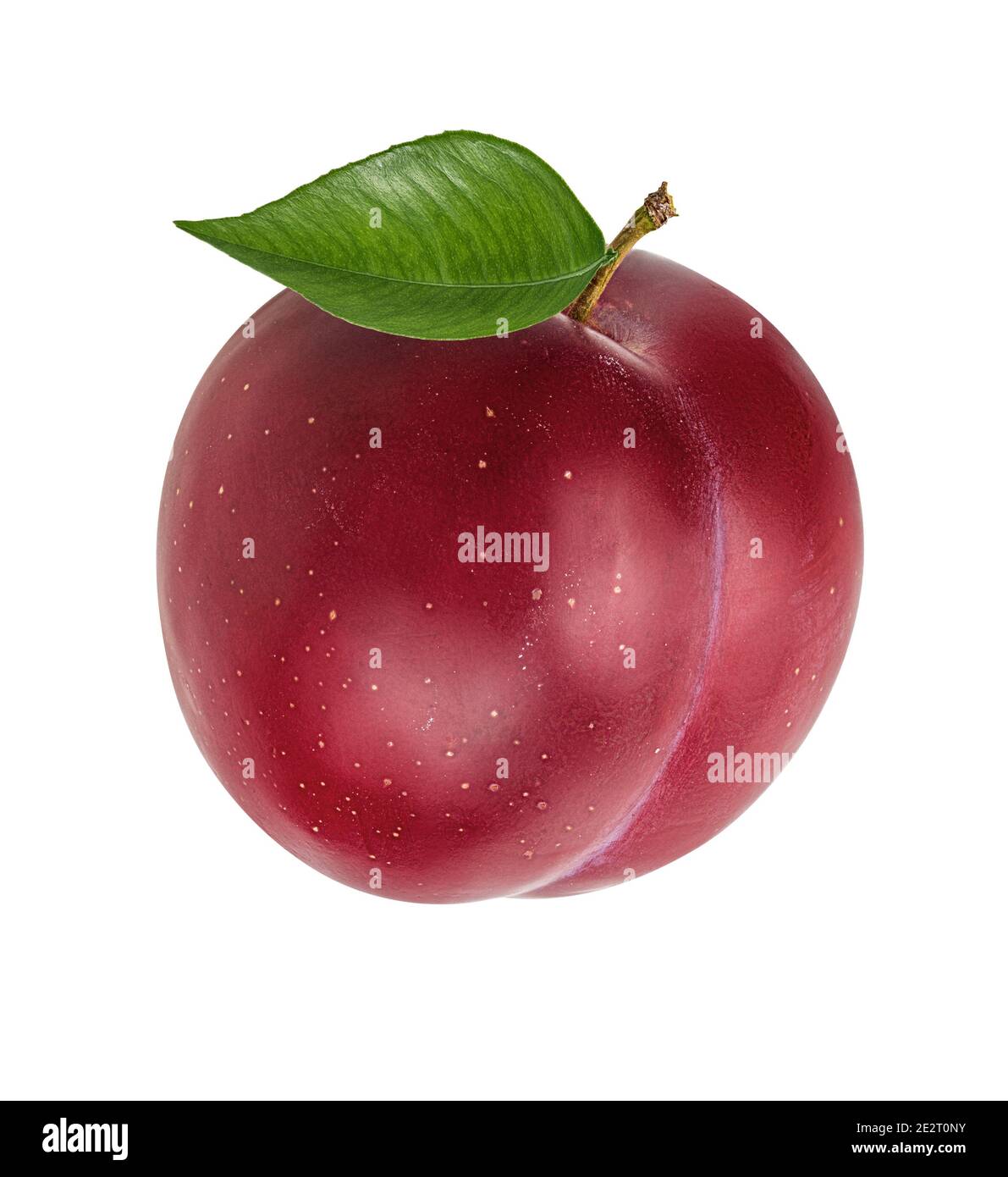 Plum isolated on white background Stock Photo - Alamy