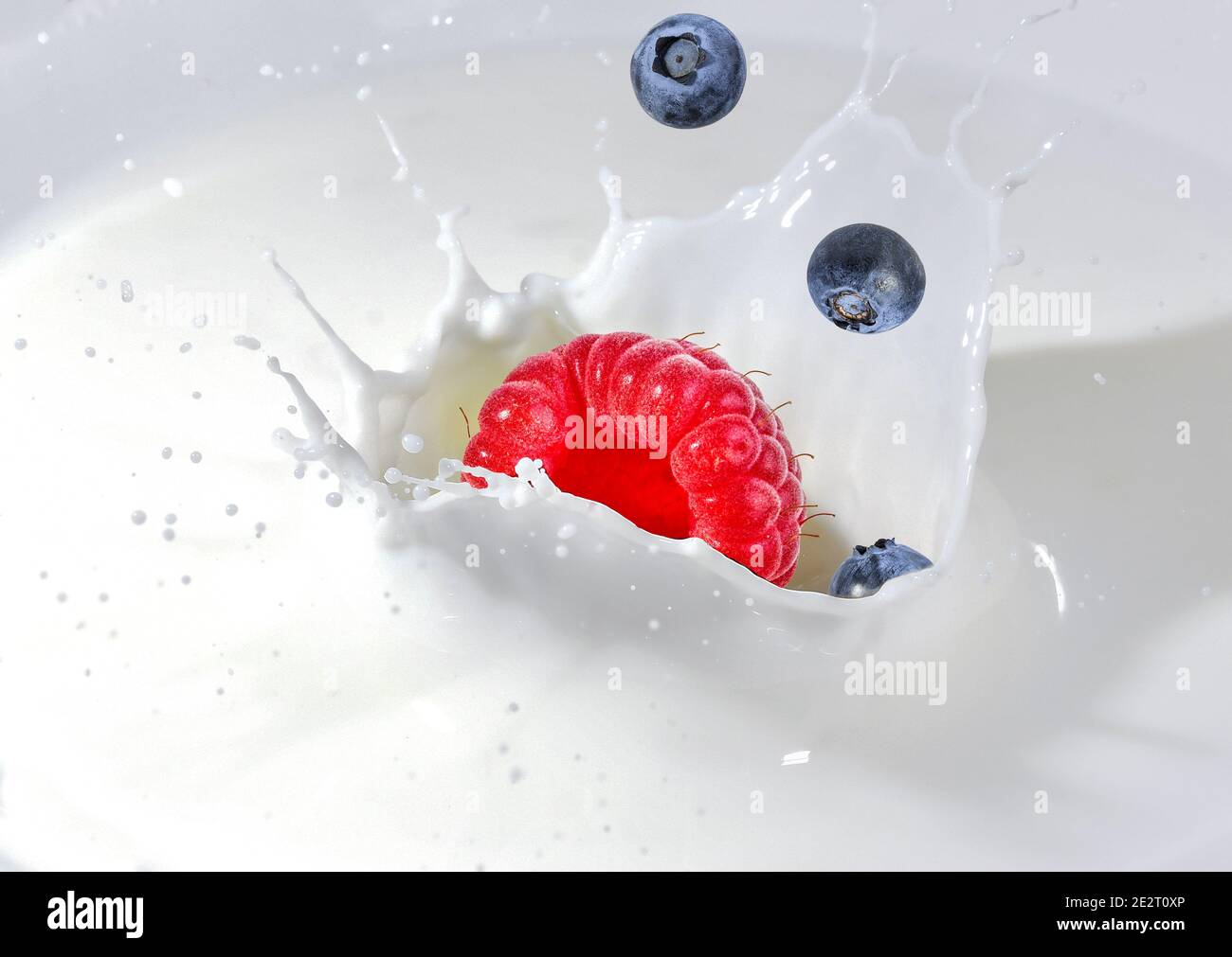 raspberry ,blueberry and milk splash, raspberry yogurt isolated Stock ...