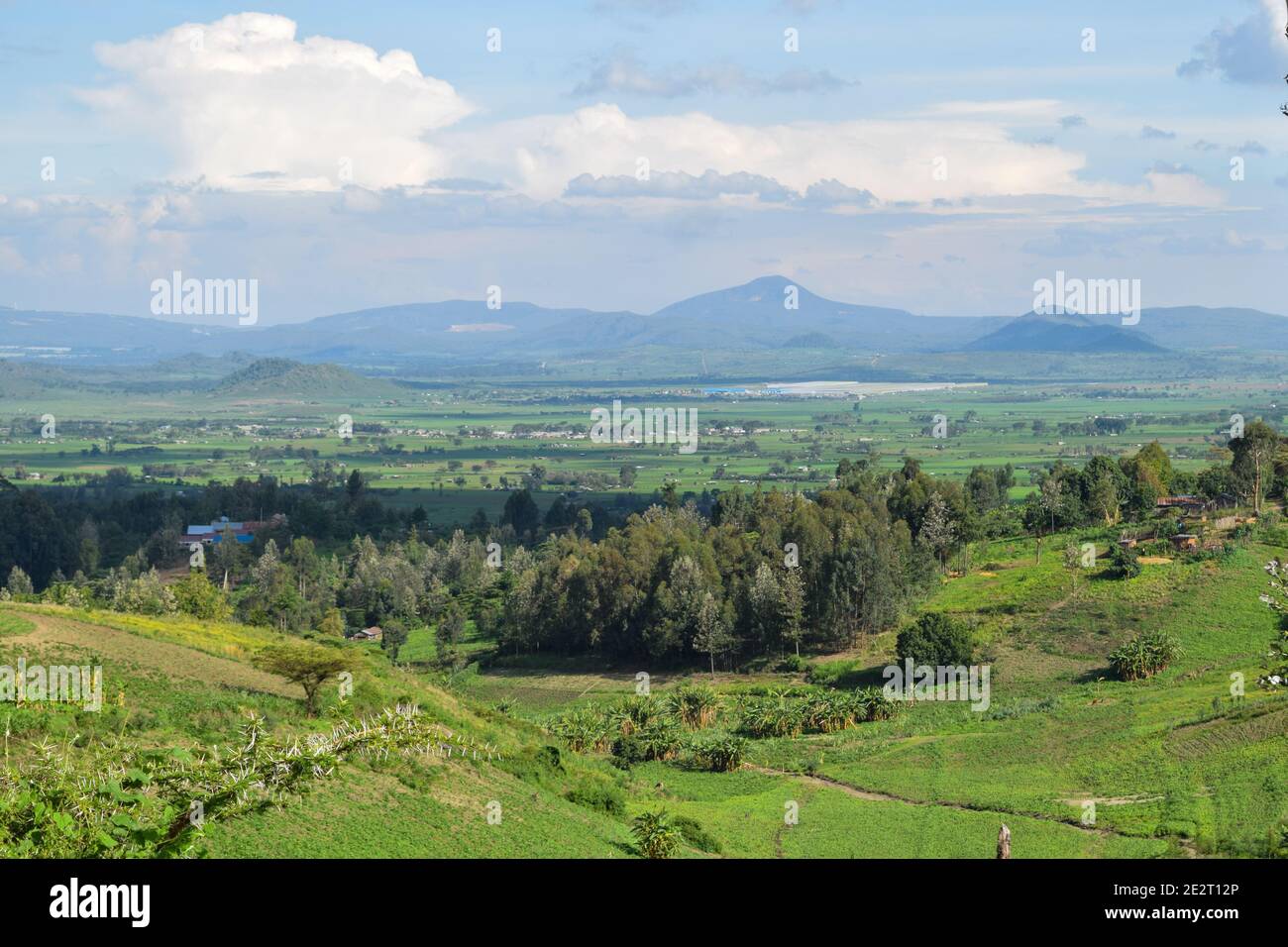 Scenic mountain landscapes in Aberdare Ranges, Kenya Stock Photo - Alamy
