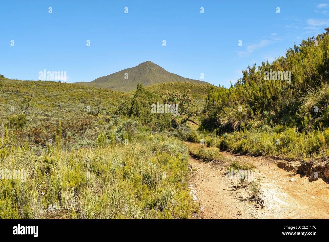 Nanyuki mount kenya hi-res stock photography and images - Alamy