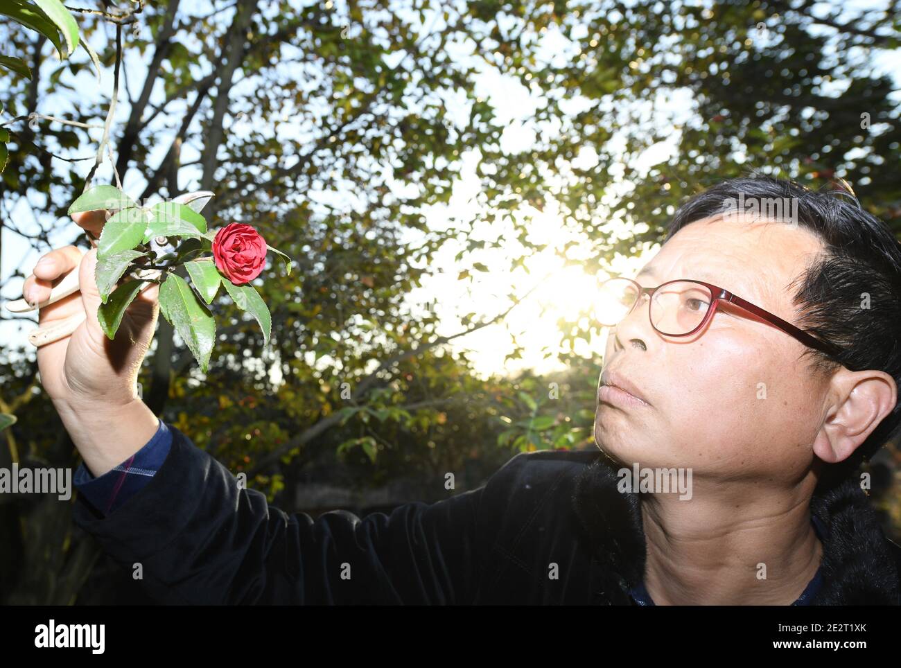 Income output hi-res stock photography and images - Alamy