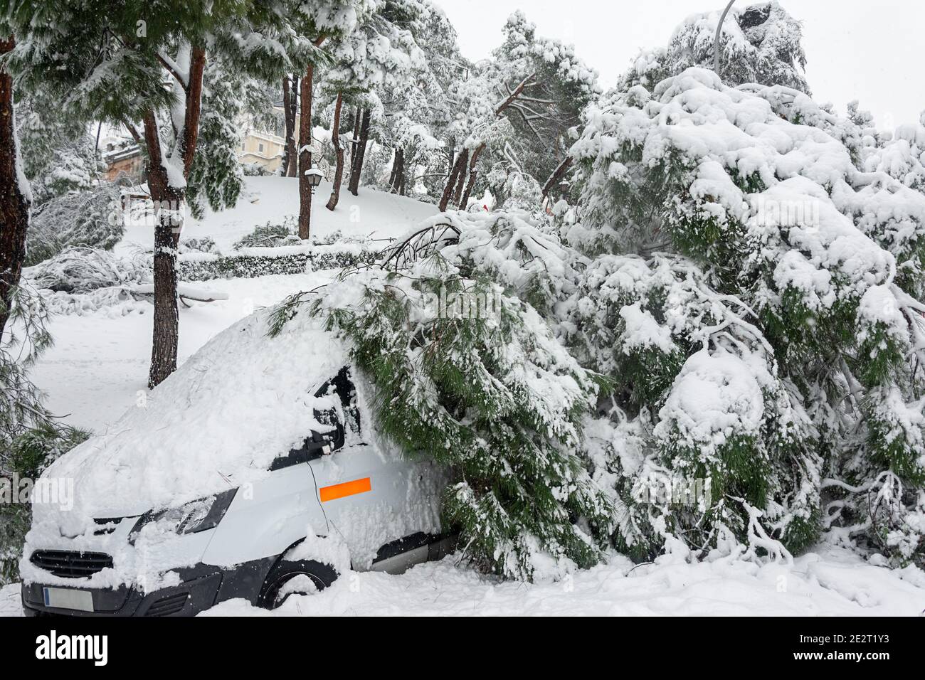 Fallen trees in city center, stormy weather and traffic accident ...