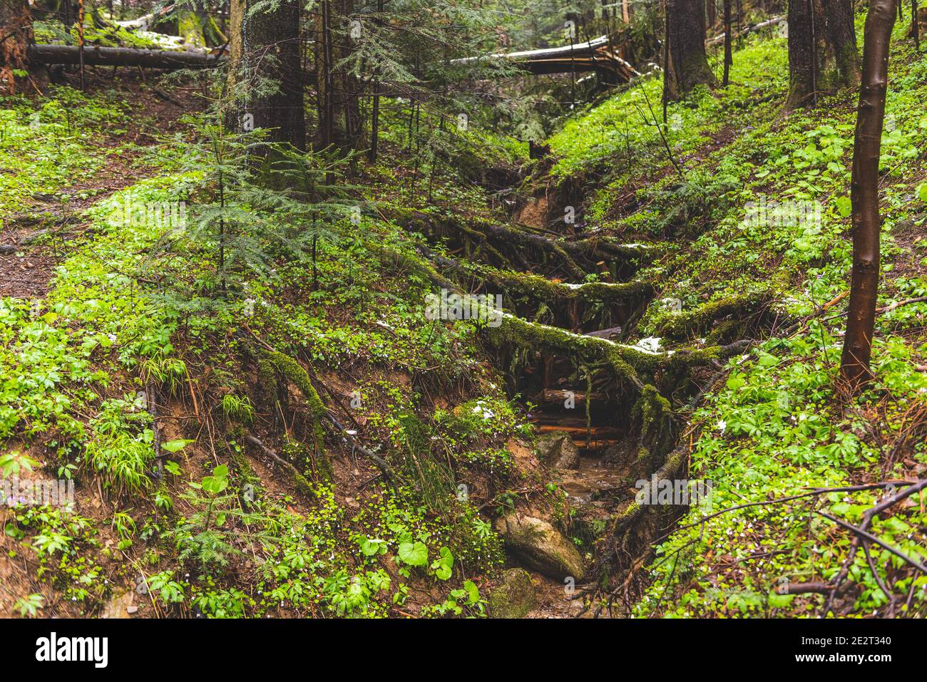 Mountains landscape ravine hi-res stock photography and images - Alamy