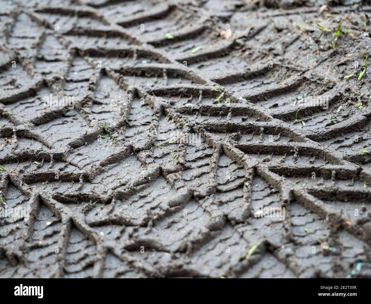 Car tire tracks on wet muddy road Stock Photo - Alamy