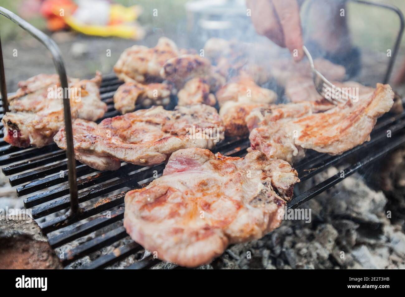 Grilled Meat , summer picnic , cooking food outdoor Stock Photo - Alamy