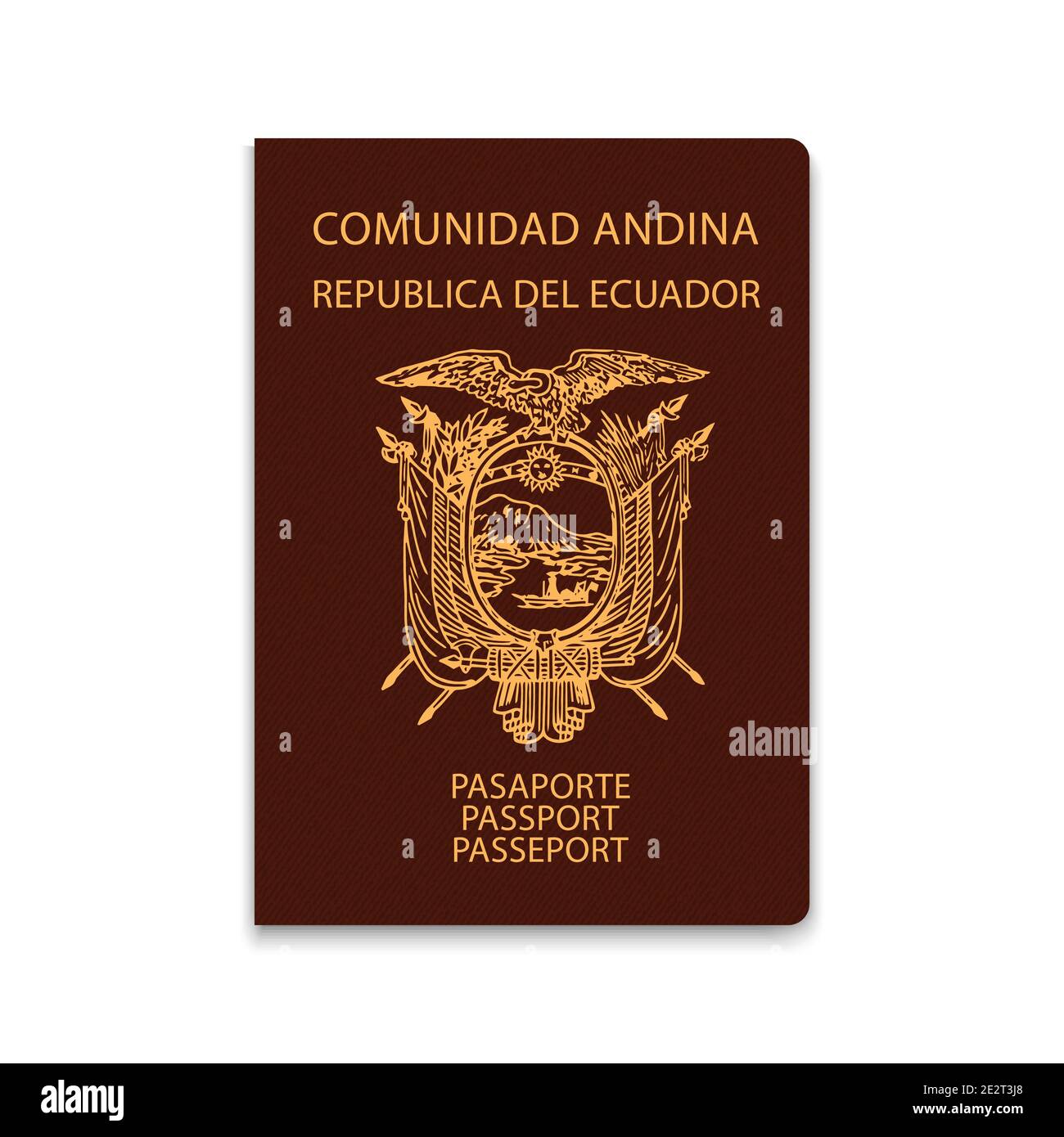 Passport of Ecuador. Citizen ID template. Vector illustration Stock ...