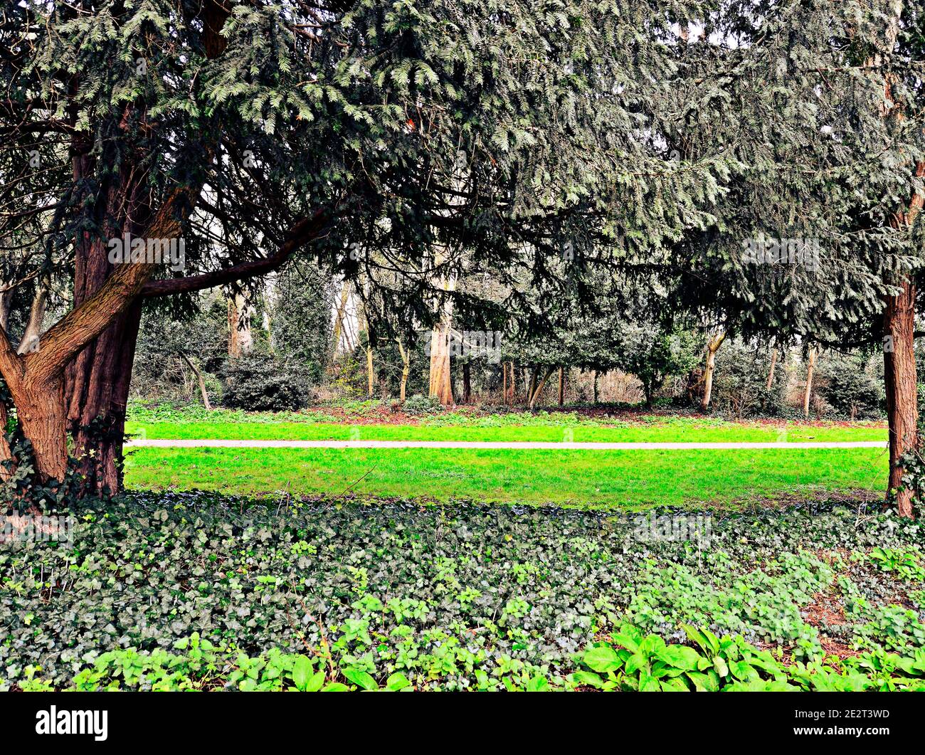 Pathway between trees park hi-res stock photography and images - Alamy