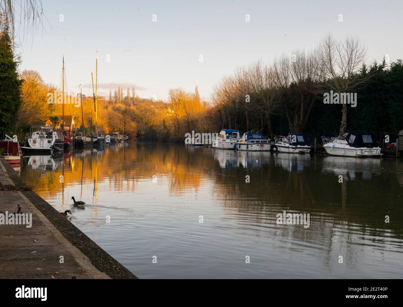 Boats moored on the river Medway at Allington lock near Maidstone one ...