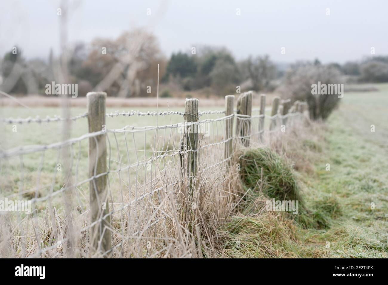 Frost covered fence hi-res stock photography and images - Alamy