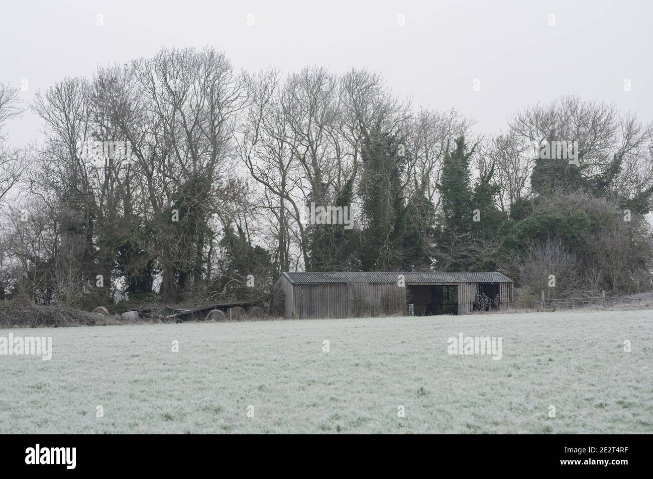 Frozen barn in a frost covered field in Kent Stock Photo - Alamy