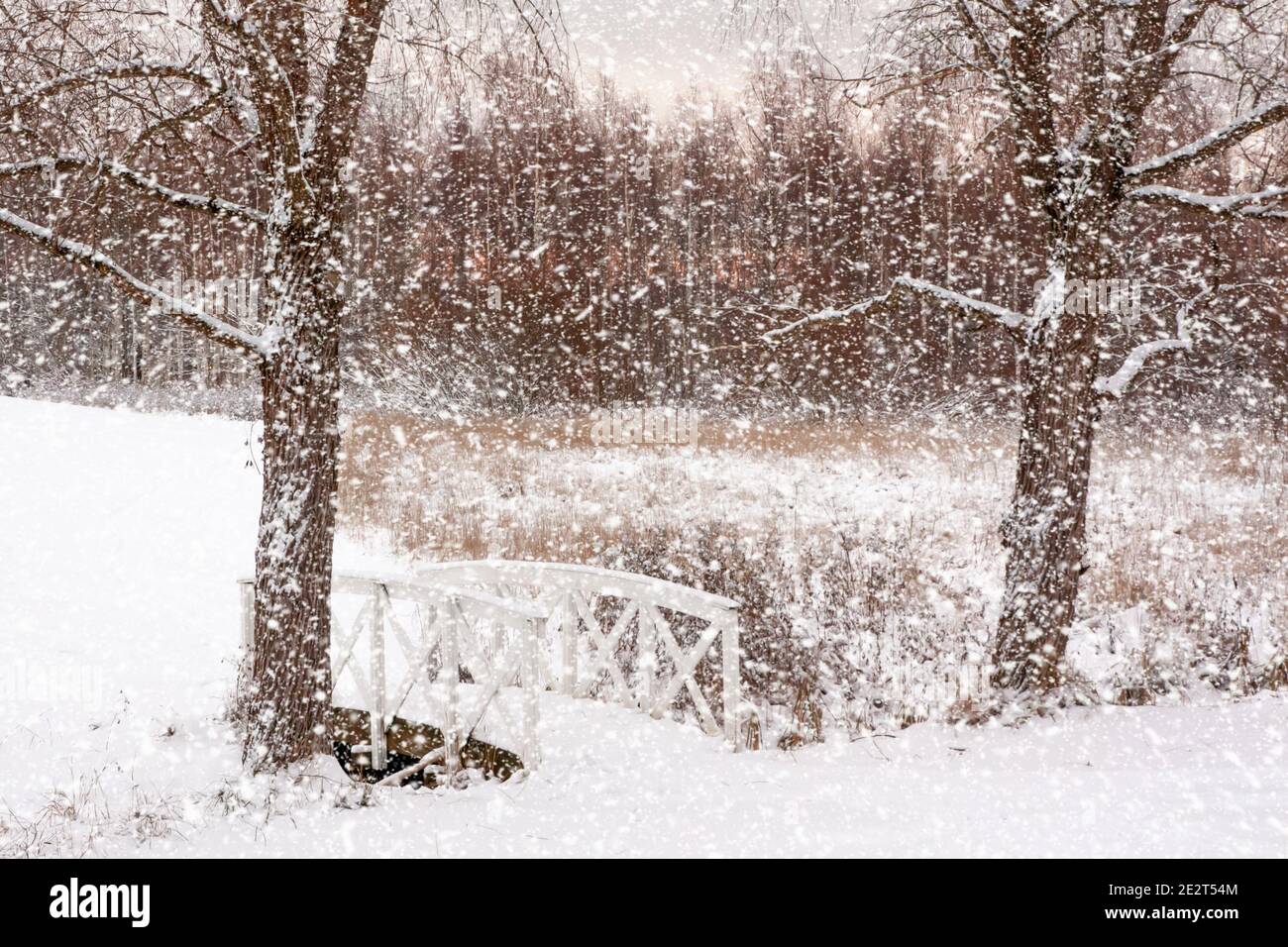 Beautiful winter snow landscape in Finland Stock Photo - Alamy