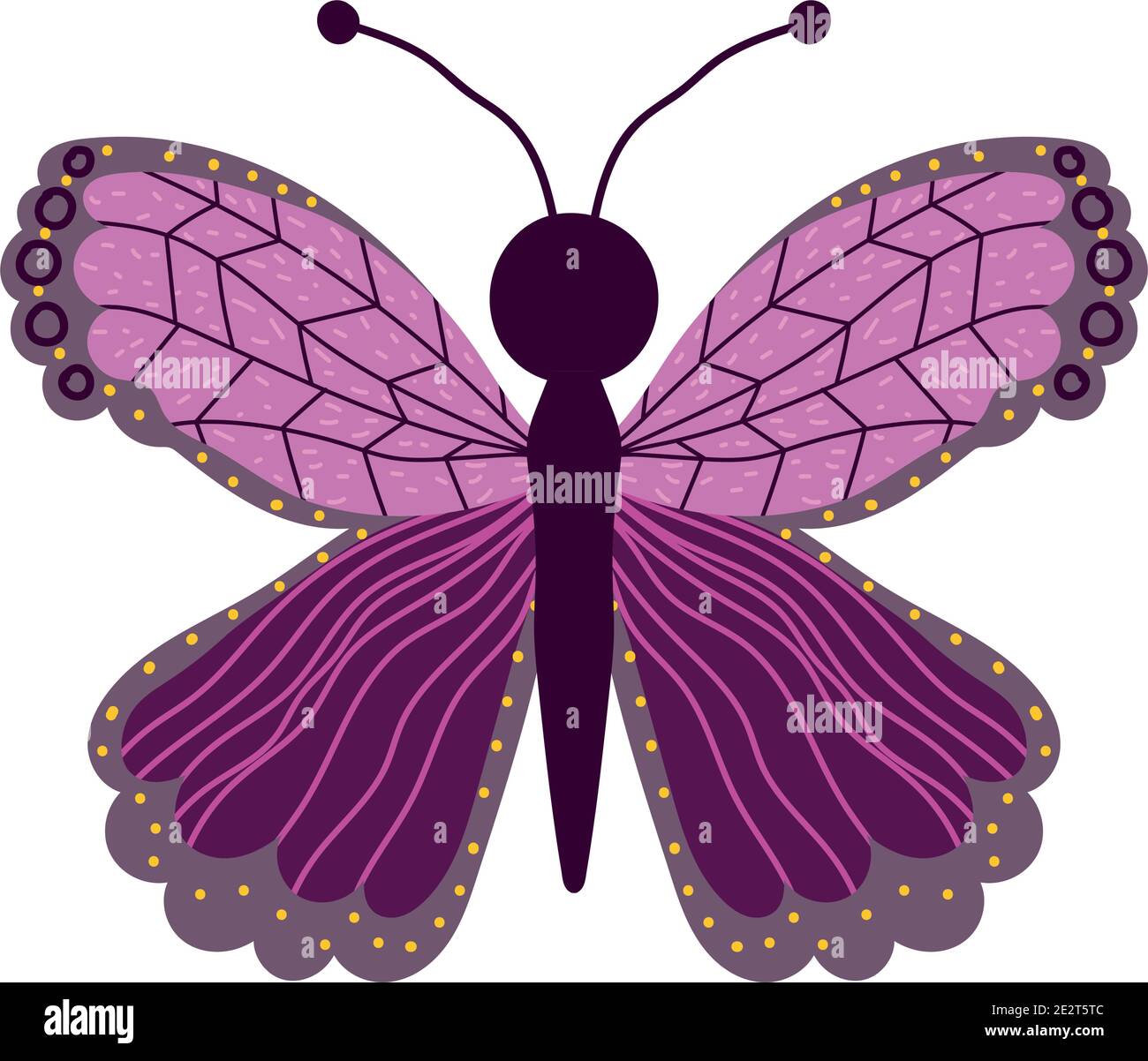pink butterfly insect animal, decorative wings on white background ...