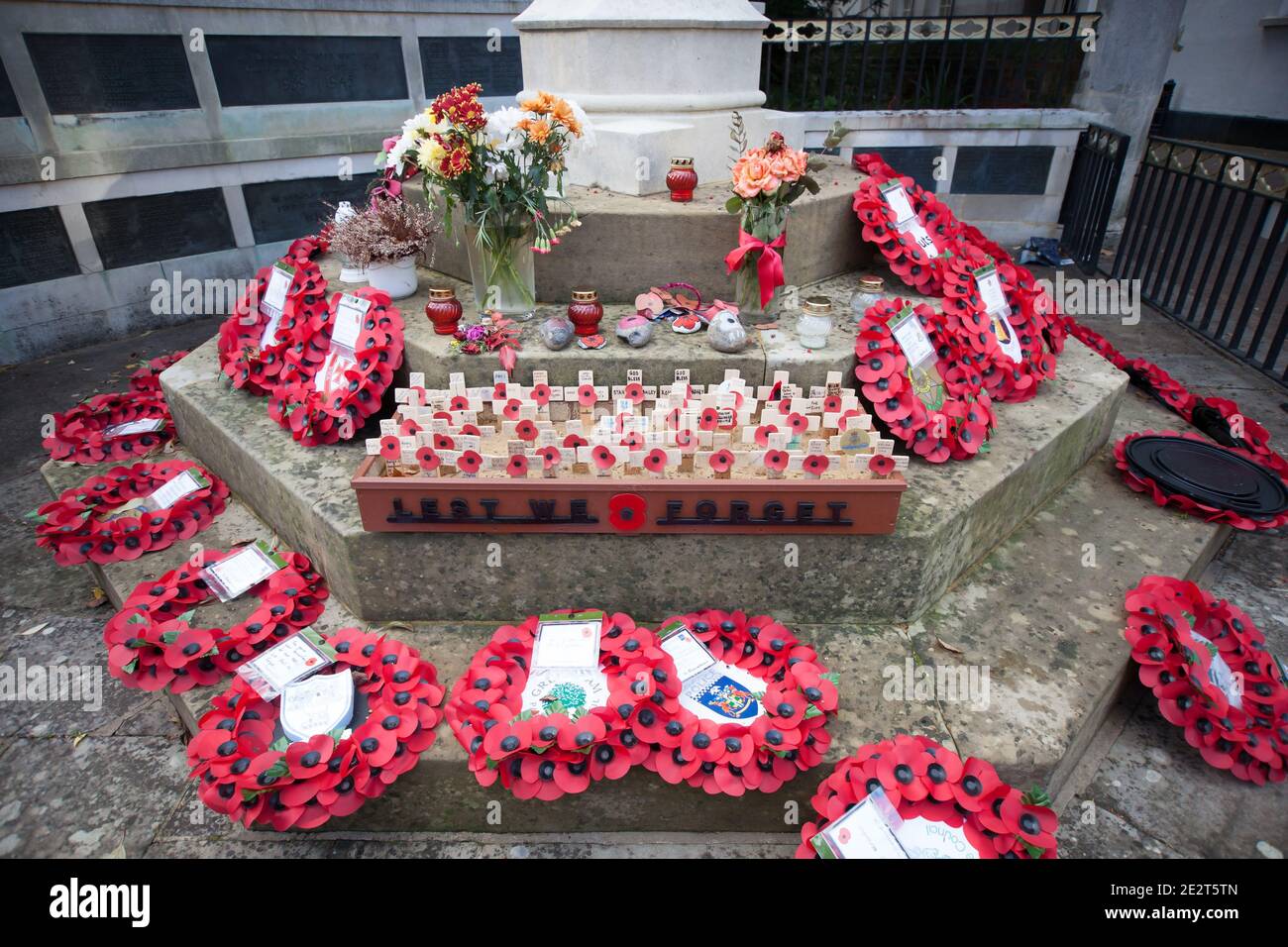 Poppy reef hi-res stock photography and images - Alamy