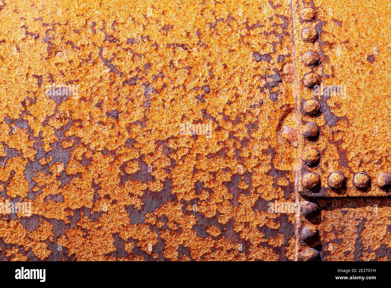 Rusty Metal Rivets Texture