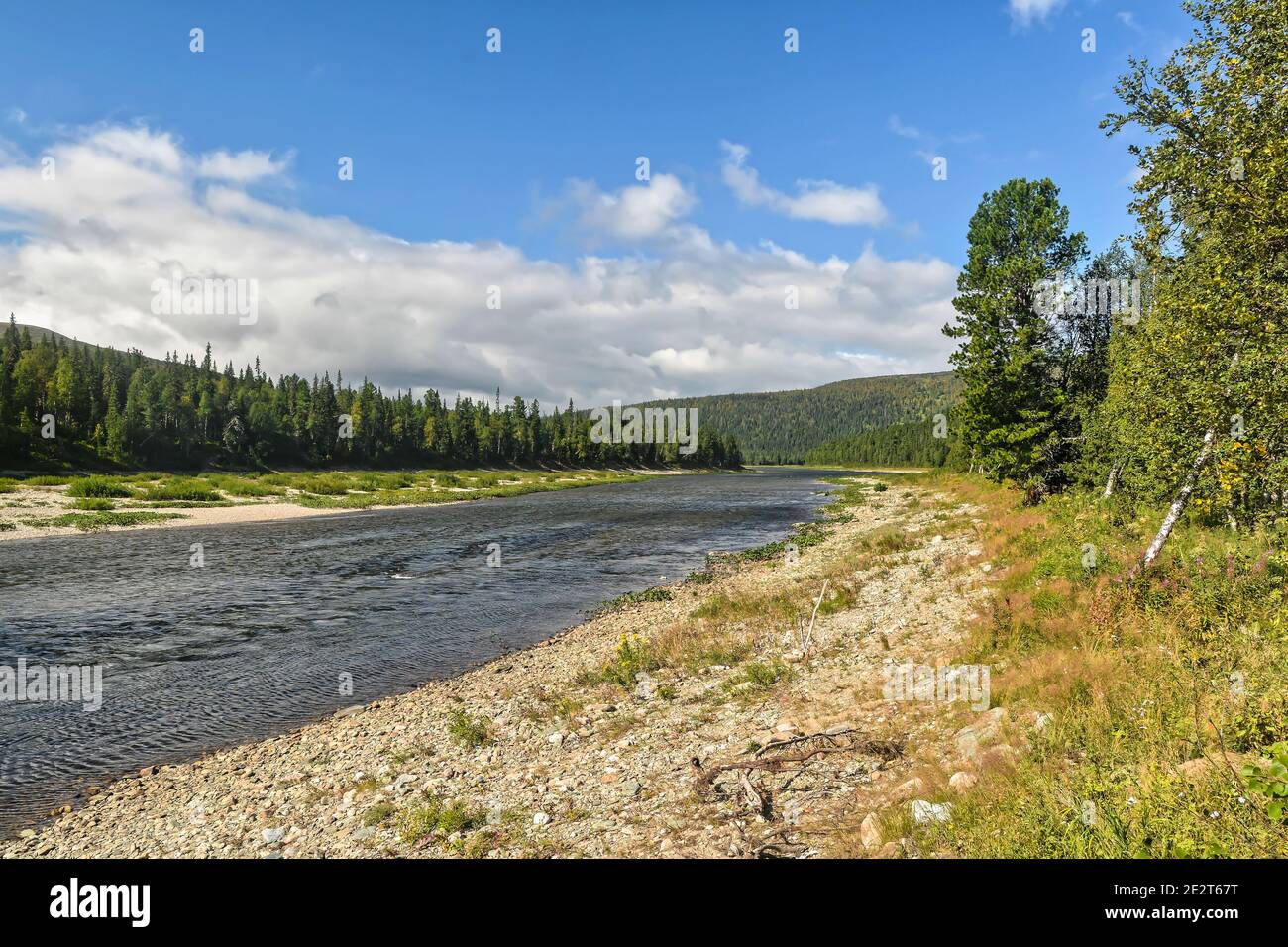 Virgin Komi forests. UNESCO World Heritage Site, Yugyd Va National Park ...