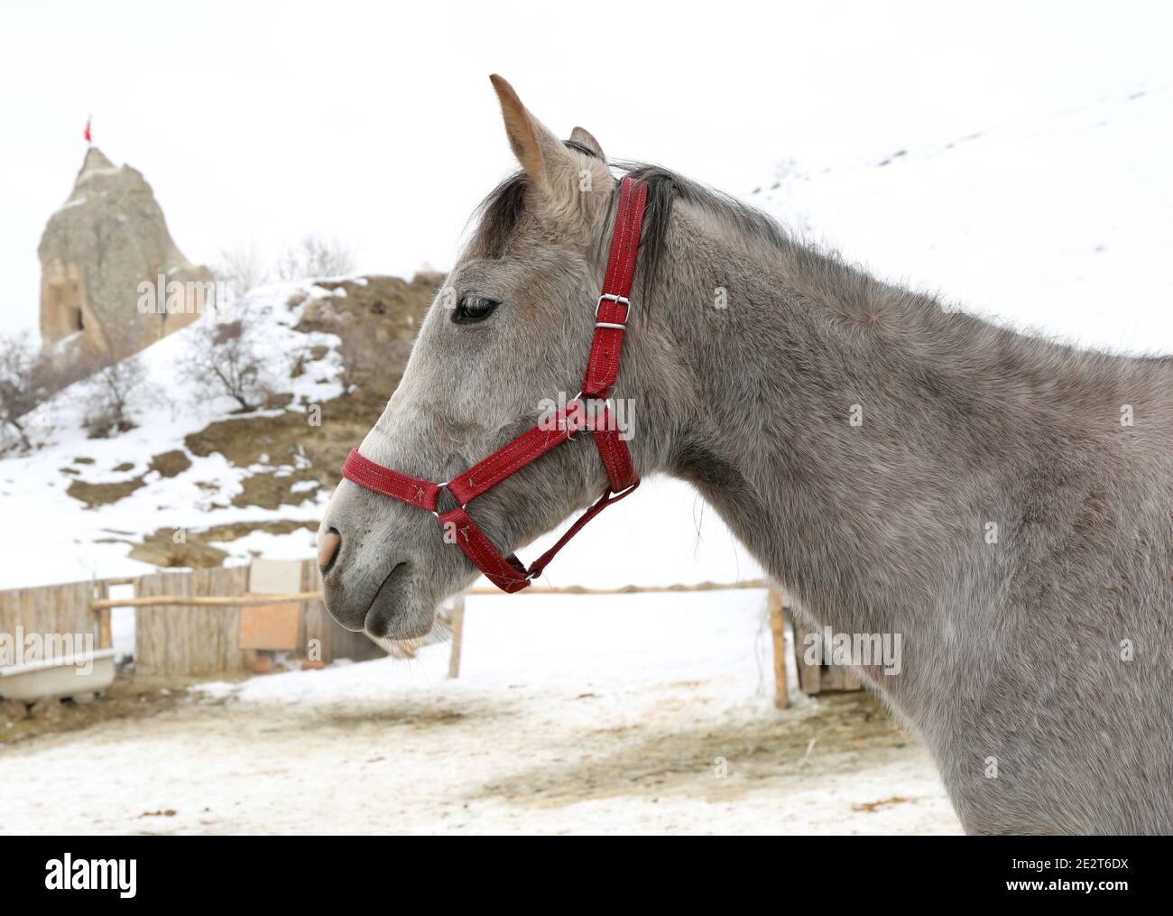 Ranch cappadocia hi-res stock photography and images - Alamy