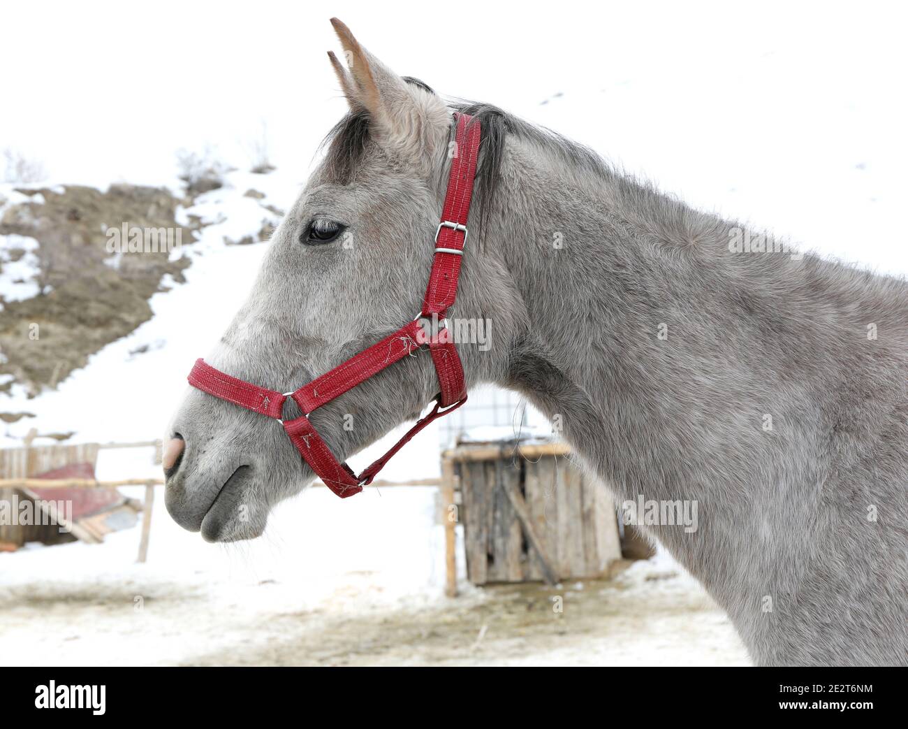 Ranch cappadocia cappadocia hi-res stock photography and images - Alamy