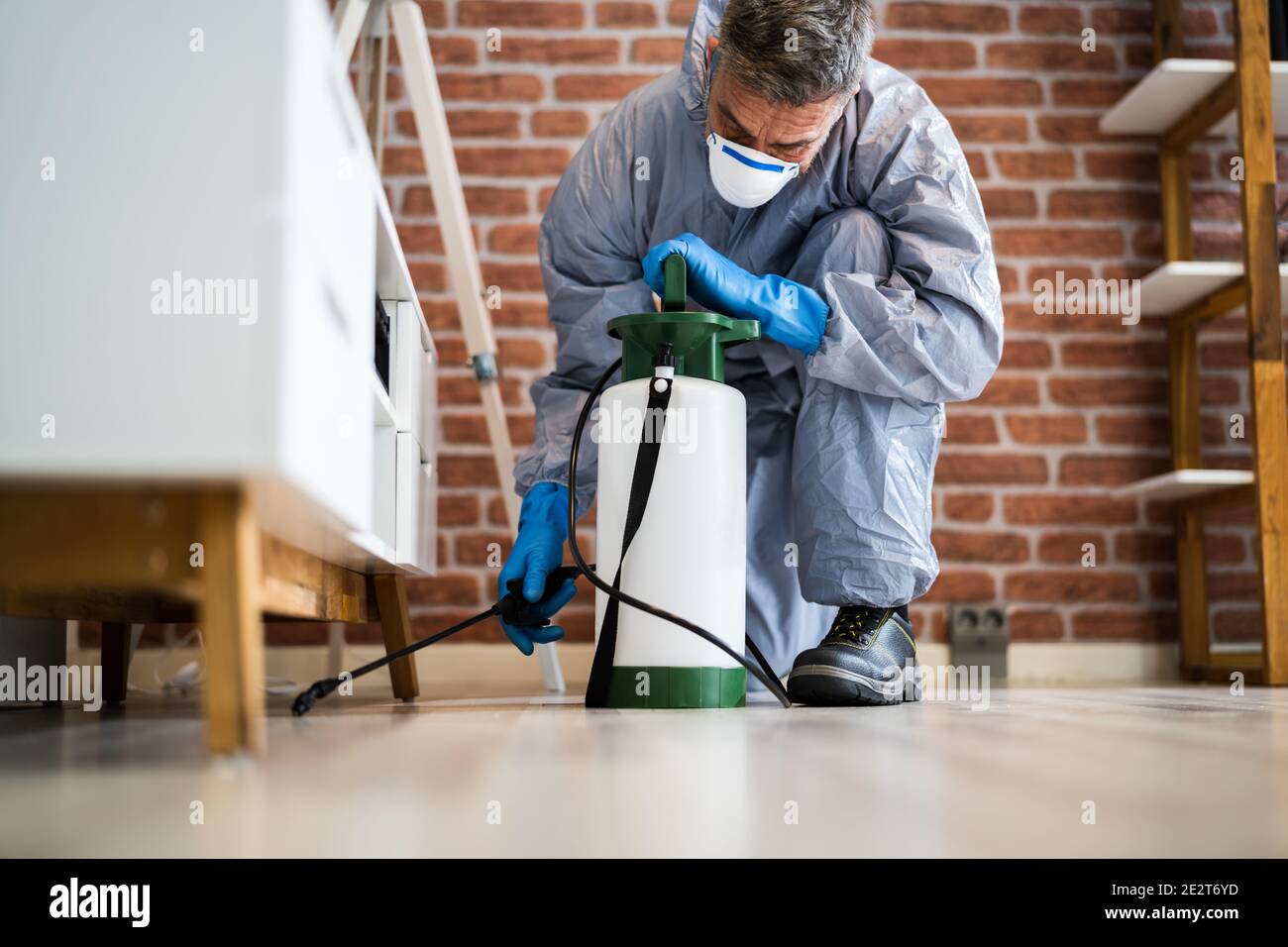 Pest Control Exterminator Services Spraying Termite Insecticide Stock ...